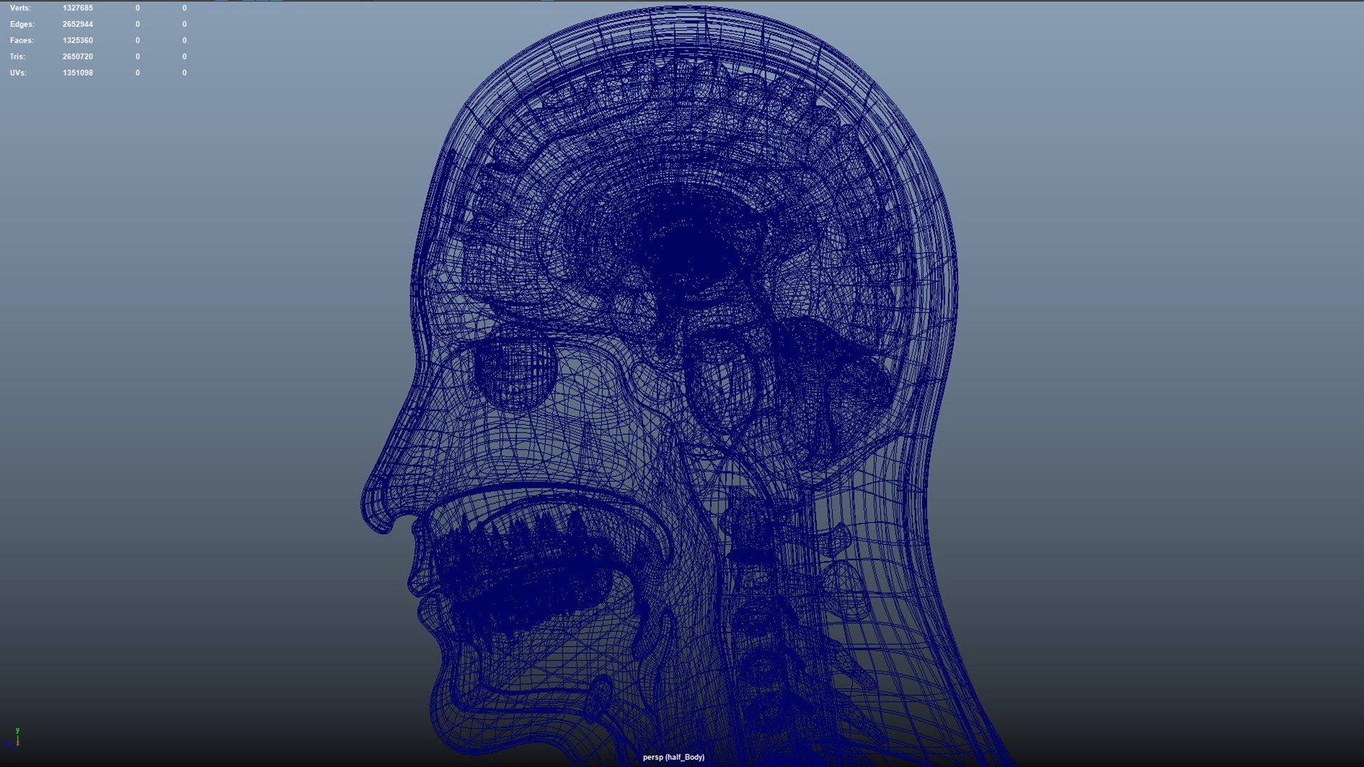 3D Anatomy Of The Oral Cavity Cross Section - TurboSquid 2190066