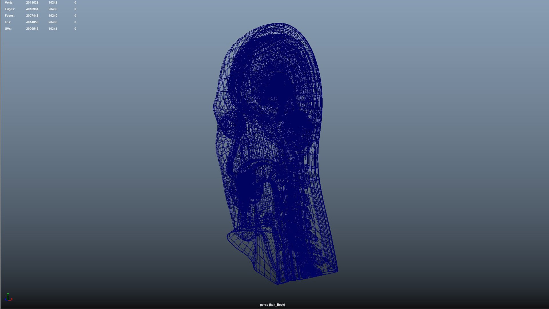 3D Anatomy Of The Oral Cavity Cross Section - TurboSquid 2190066