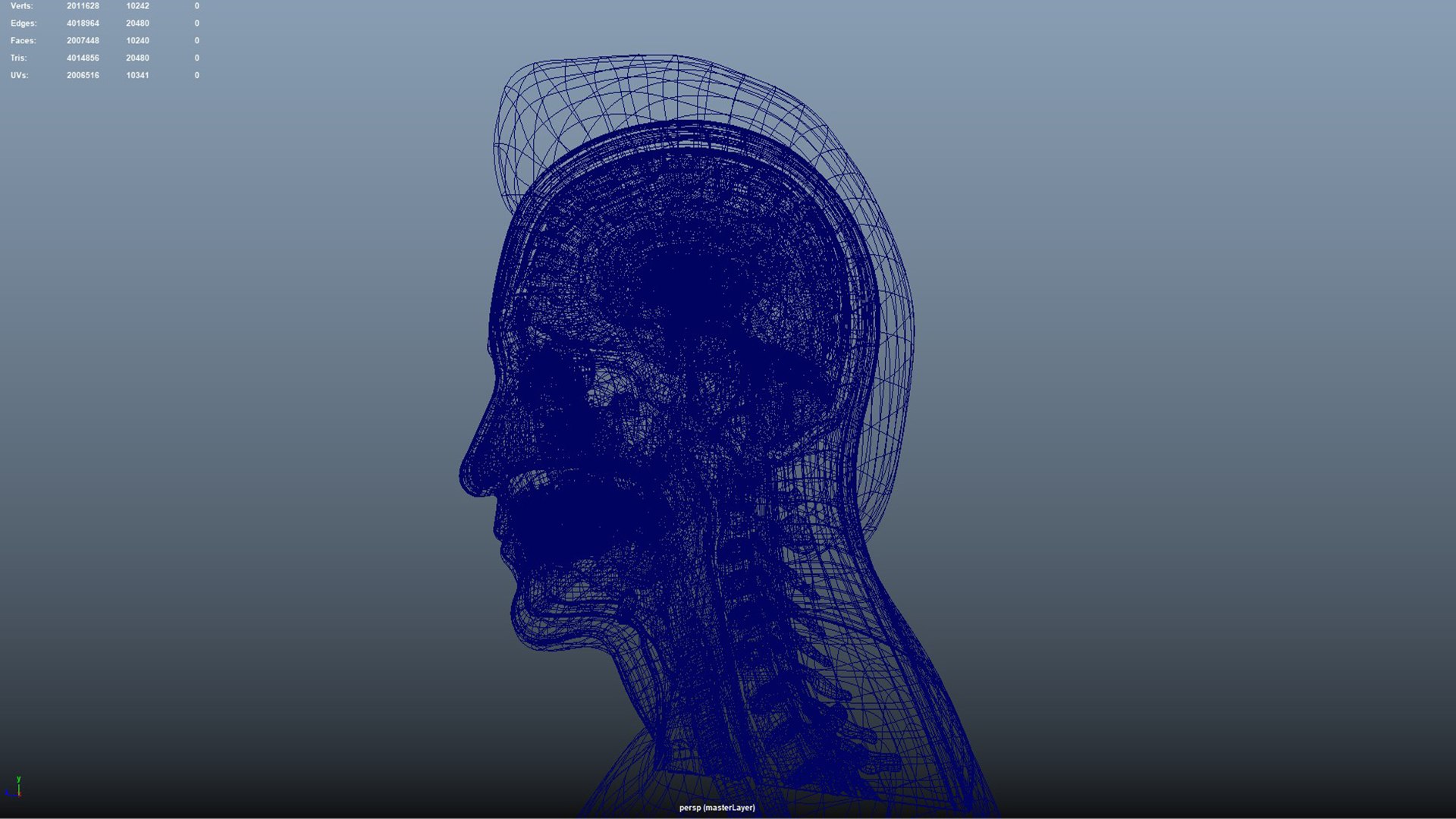 3D Anatomy Of The Oral Cavity Cross Section - TurboSquid 2190066