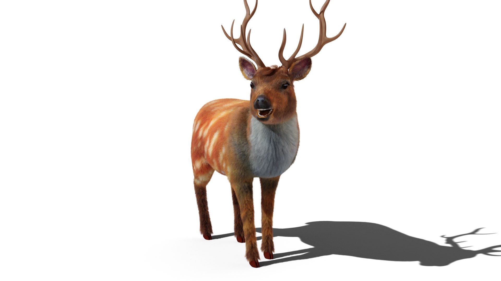 3D model Fur Rigged Deer Stag - TurboSquid 1726068