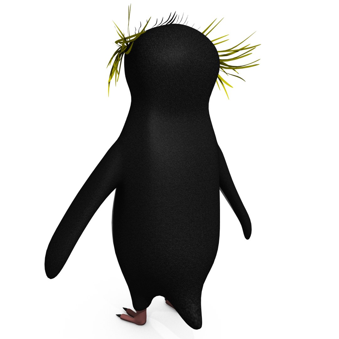 rockhopper penguin 3d model
