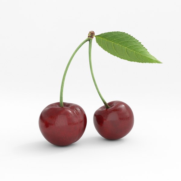 Free 3D Cherry Models | TurboSquid