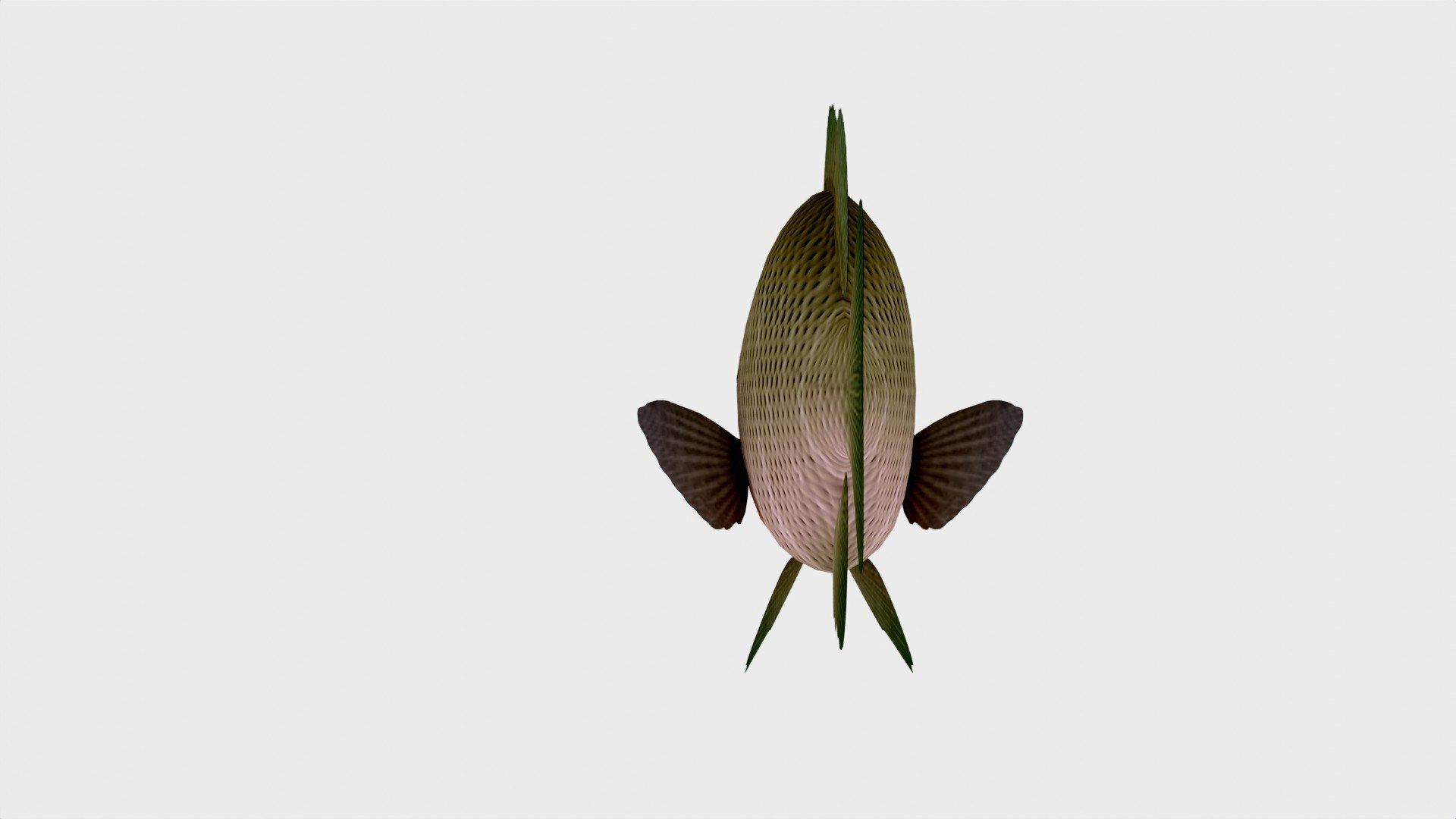 Bluegill Fish 3D Model Low Poly 3D - TurboSquid 2242548