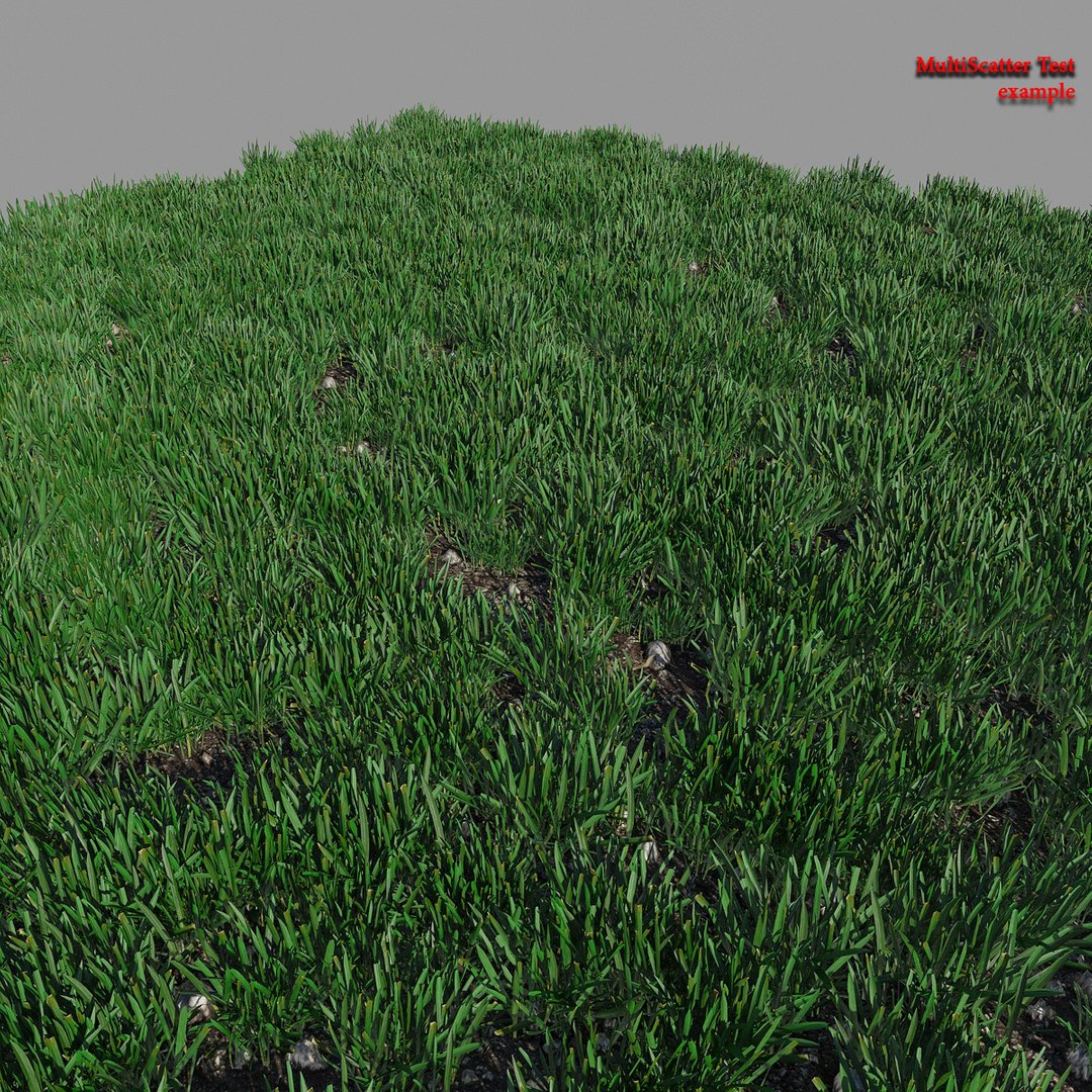 3ds Max Photorealistic Grass