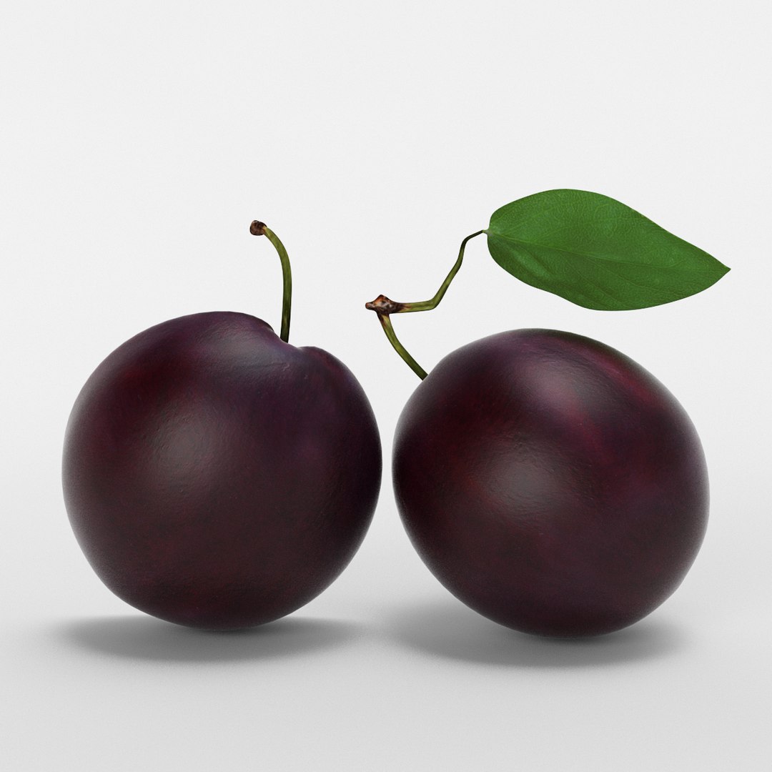 Realistic Plum 3D Model - TurboSquid 1150069