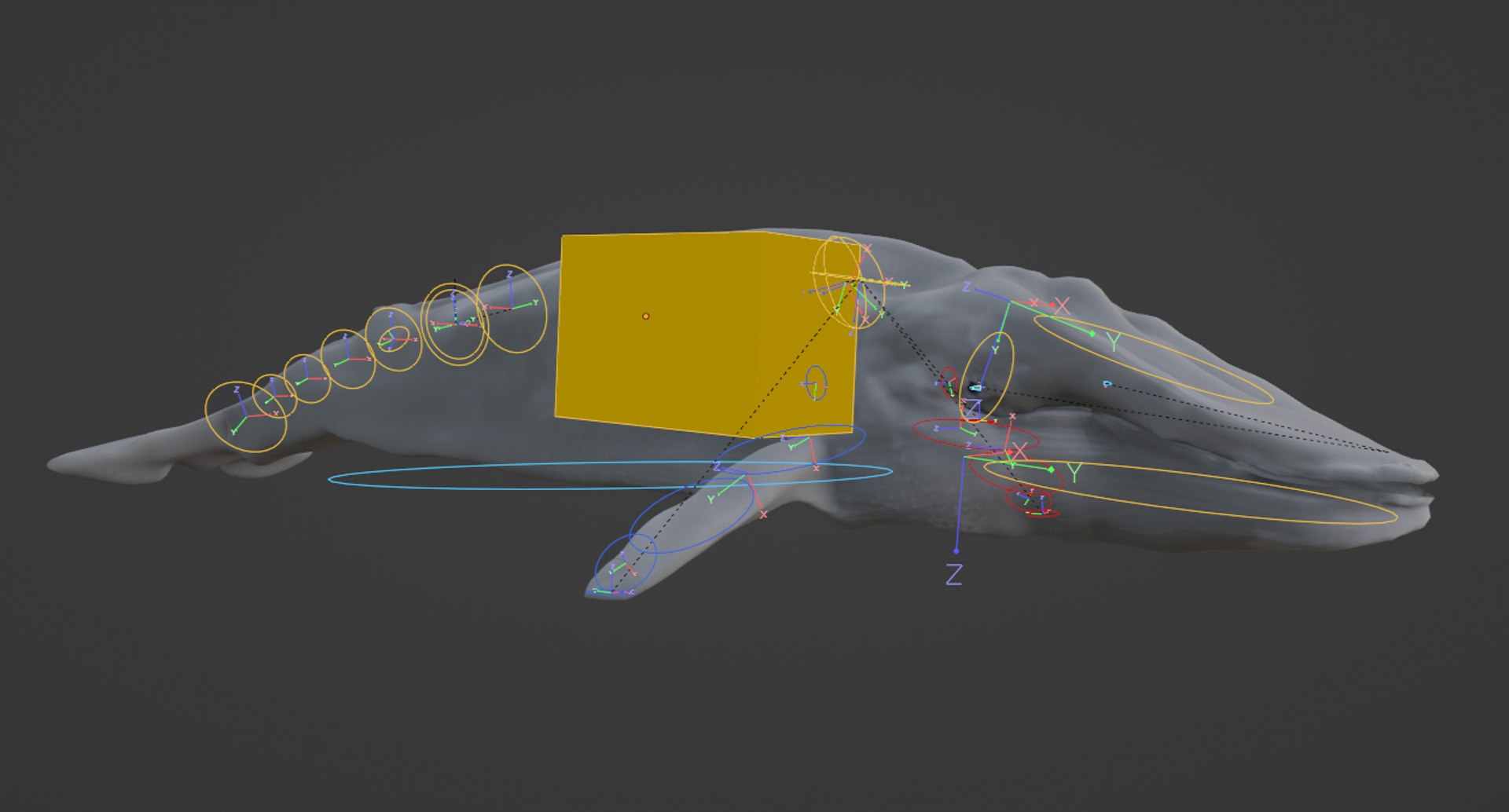 Blue Whale RIGGED 3D Model 3D - TurboSquid 1993945