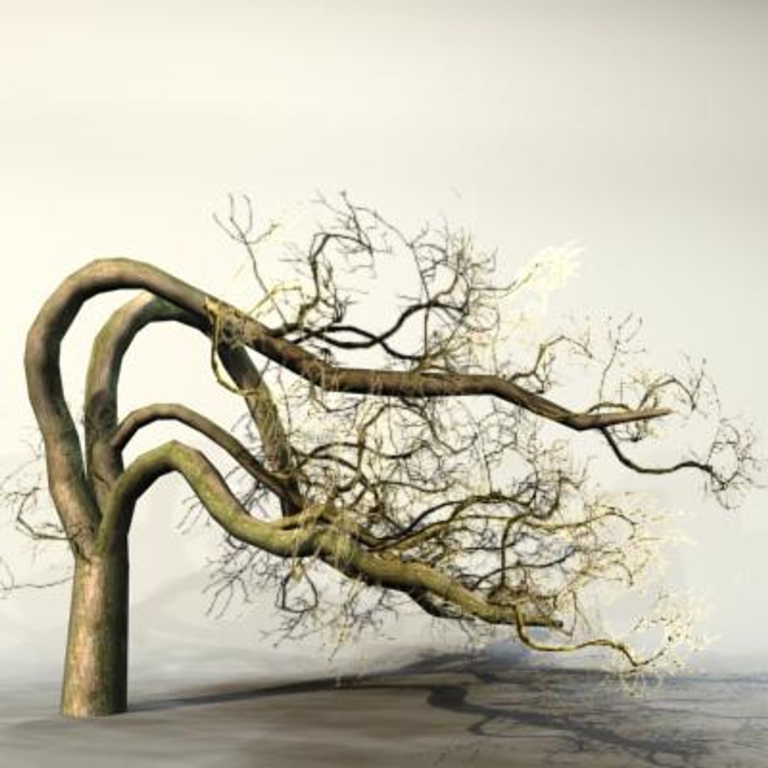 pc tree 3d max