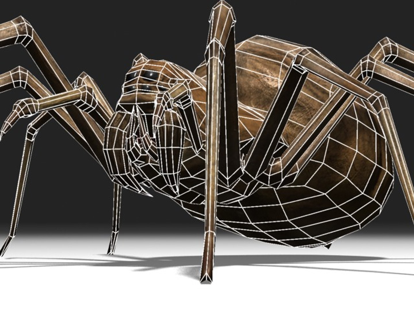 Spider Arachnids 3d Model