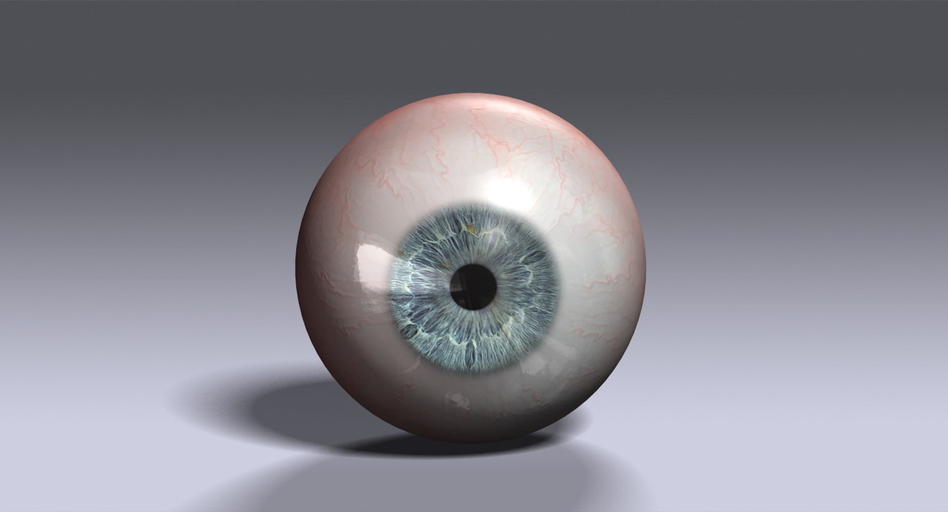human eye 3d model