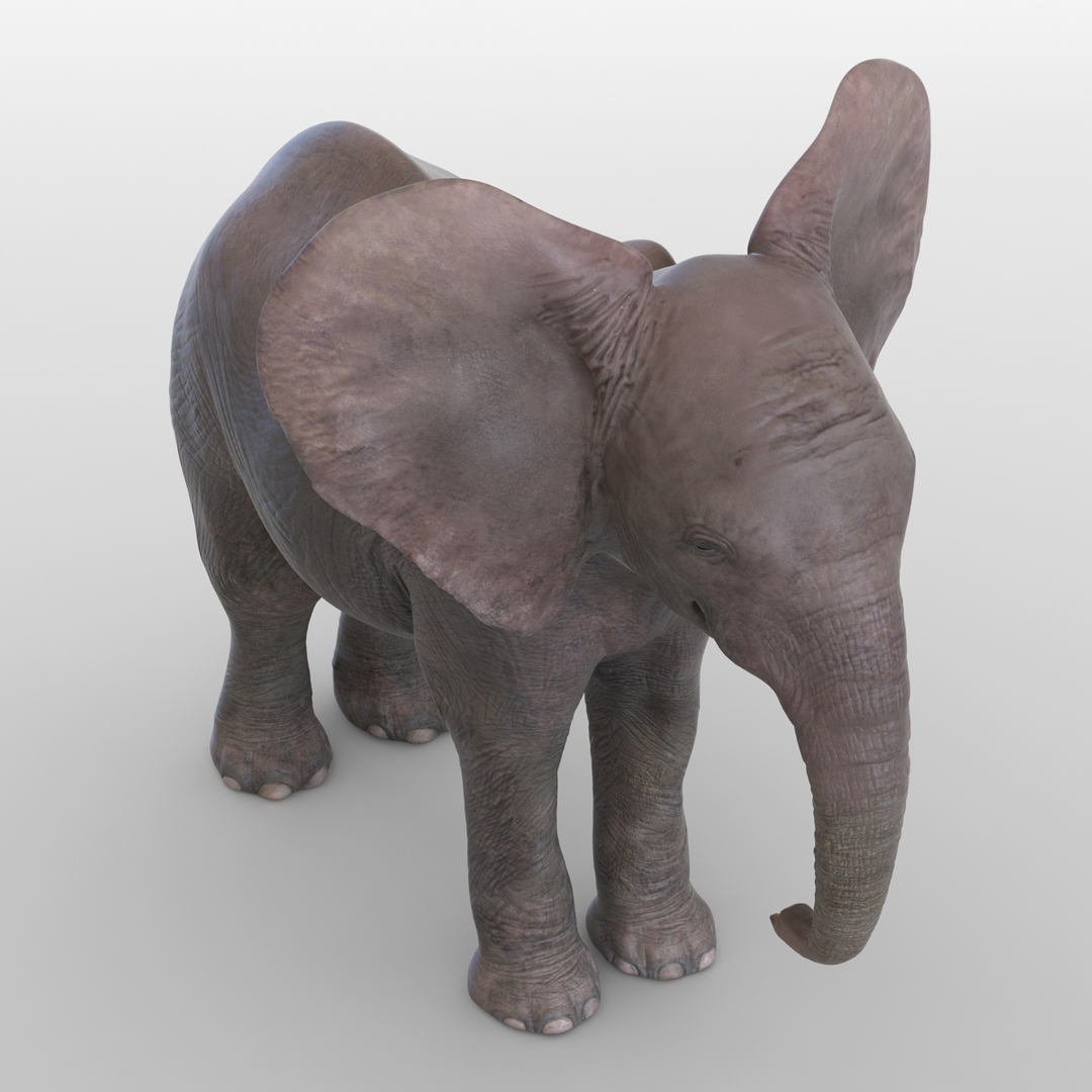 3d elephants 2 model