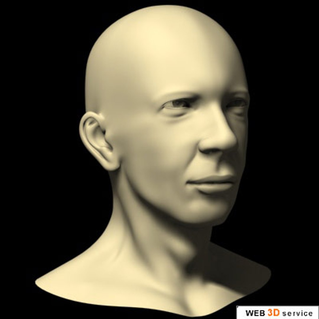 3d male head model