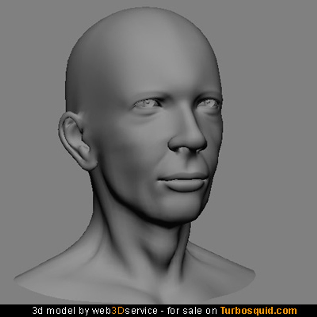 3d male head model