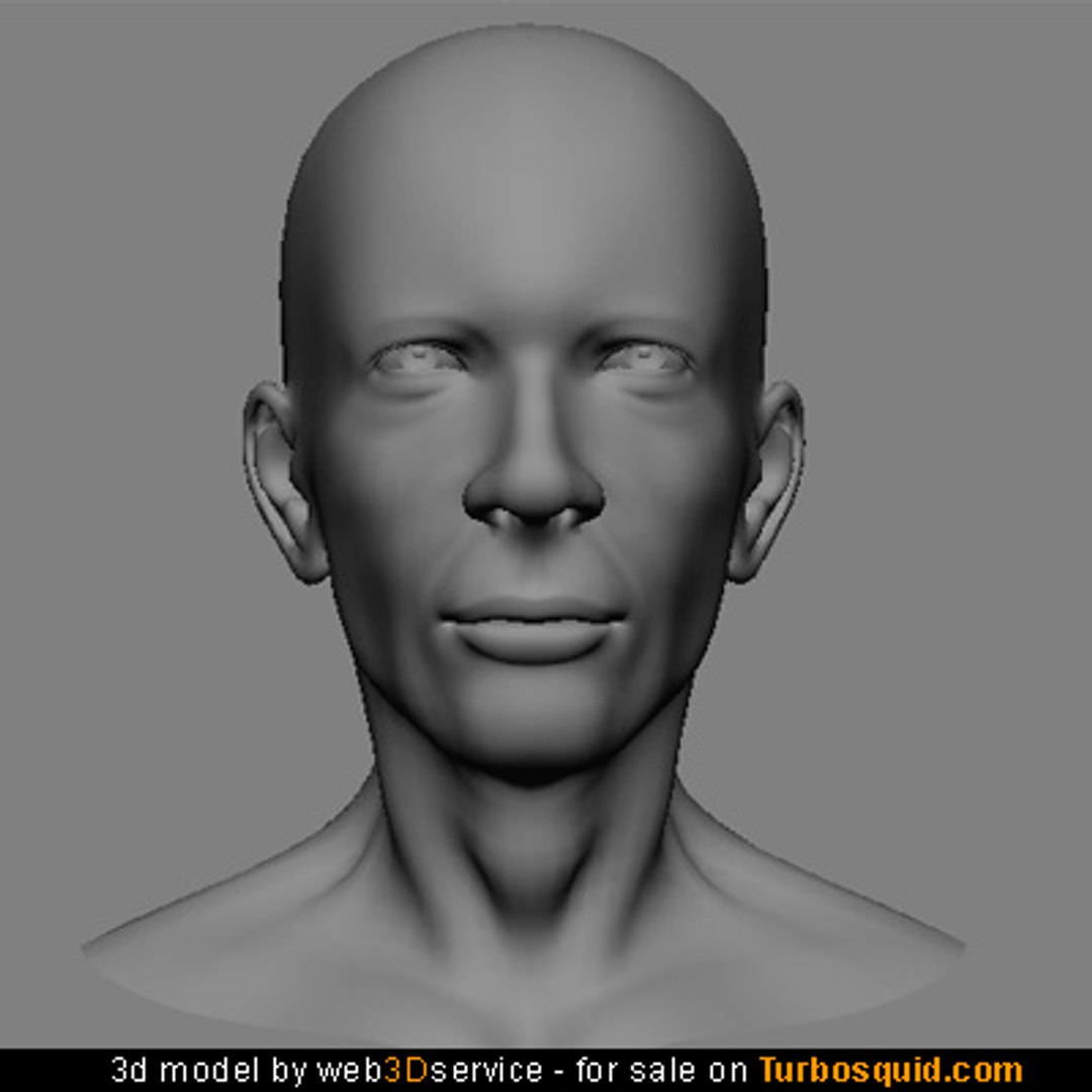 3d male head model