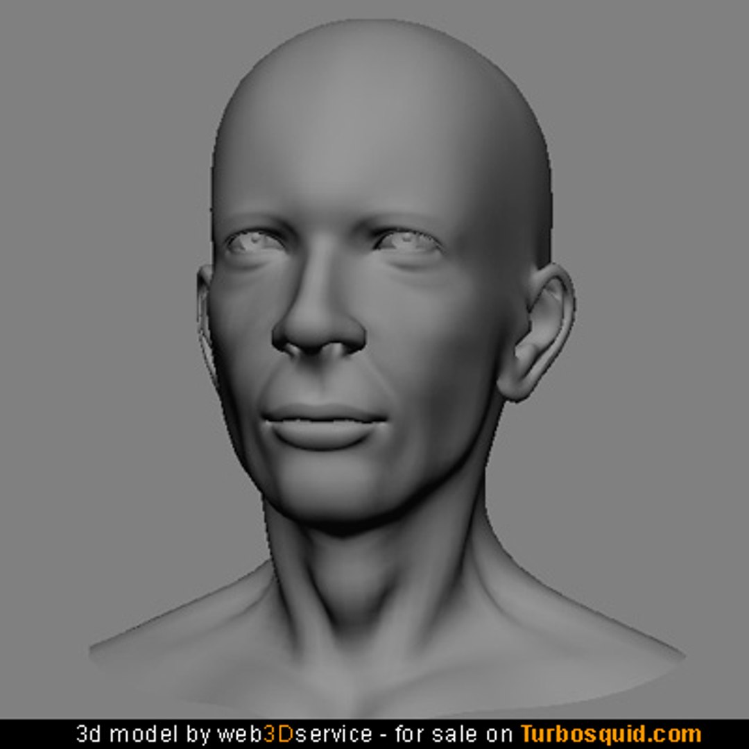 3d male head model
