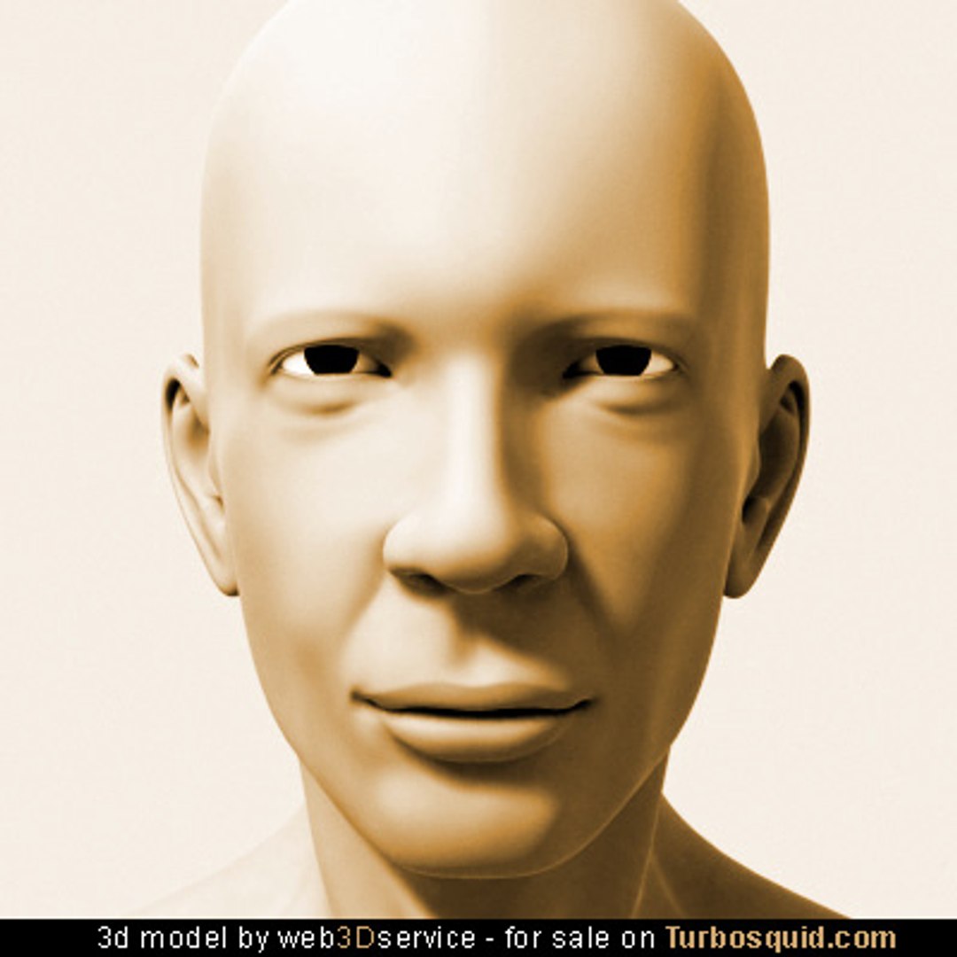 3d male head model