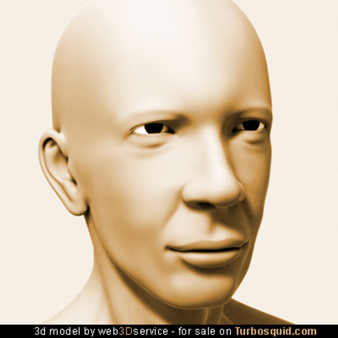 3d male head model