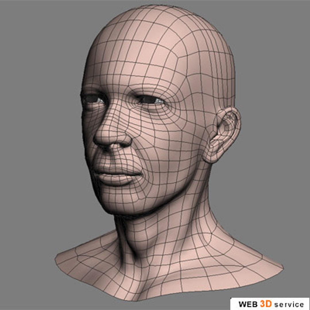 3d male head model