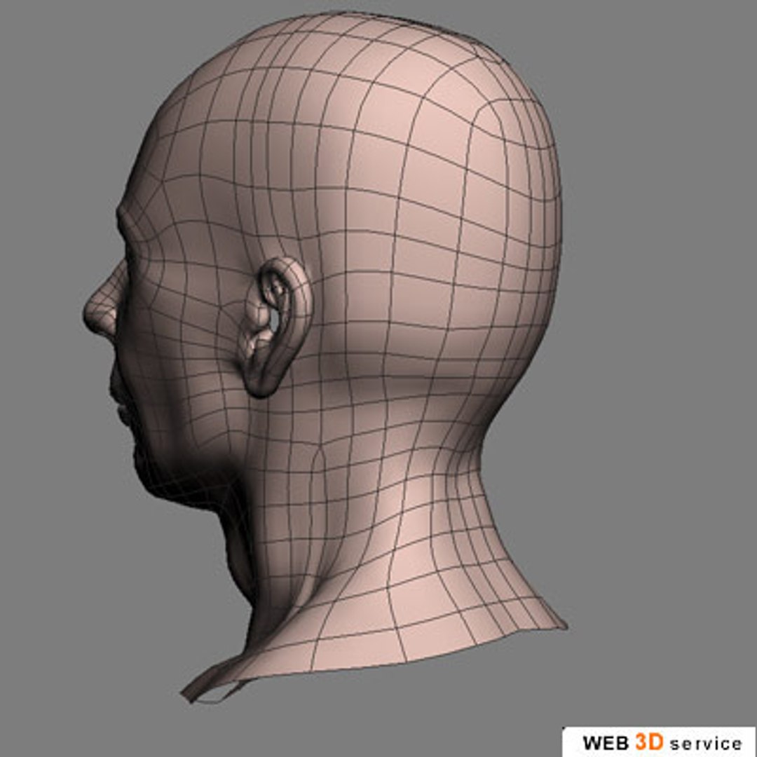 3d male head model