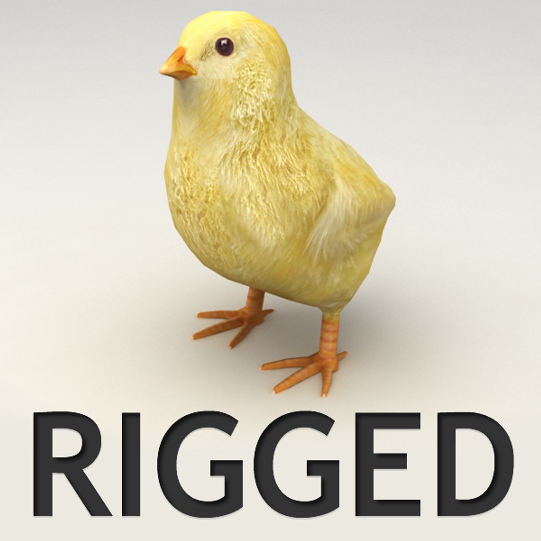 Max Ged Baby Chicken