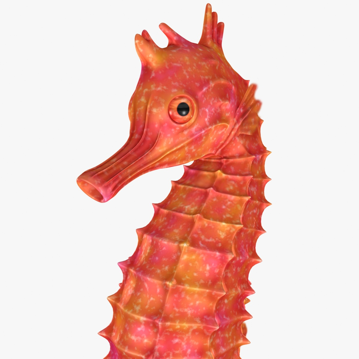 3D model realistic seahorse - TurboSquid 1160630