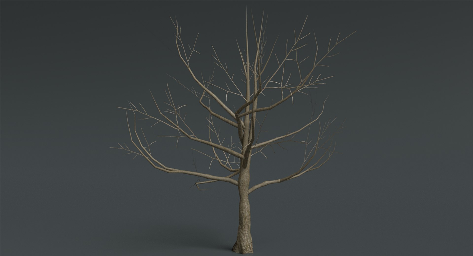 Dead Tree 3d Obj