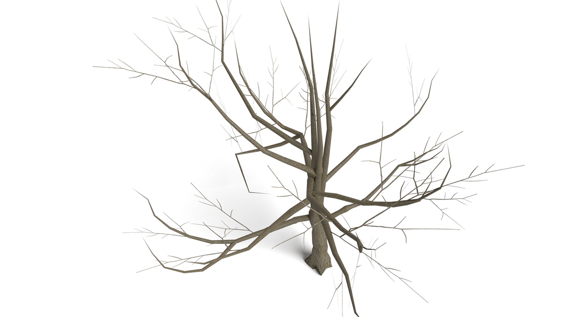 Dead Tree 3d Obj