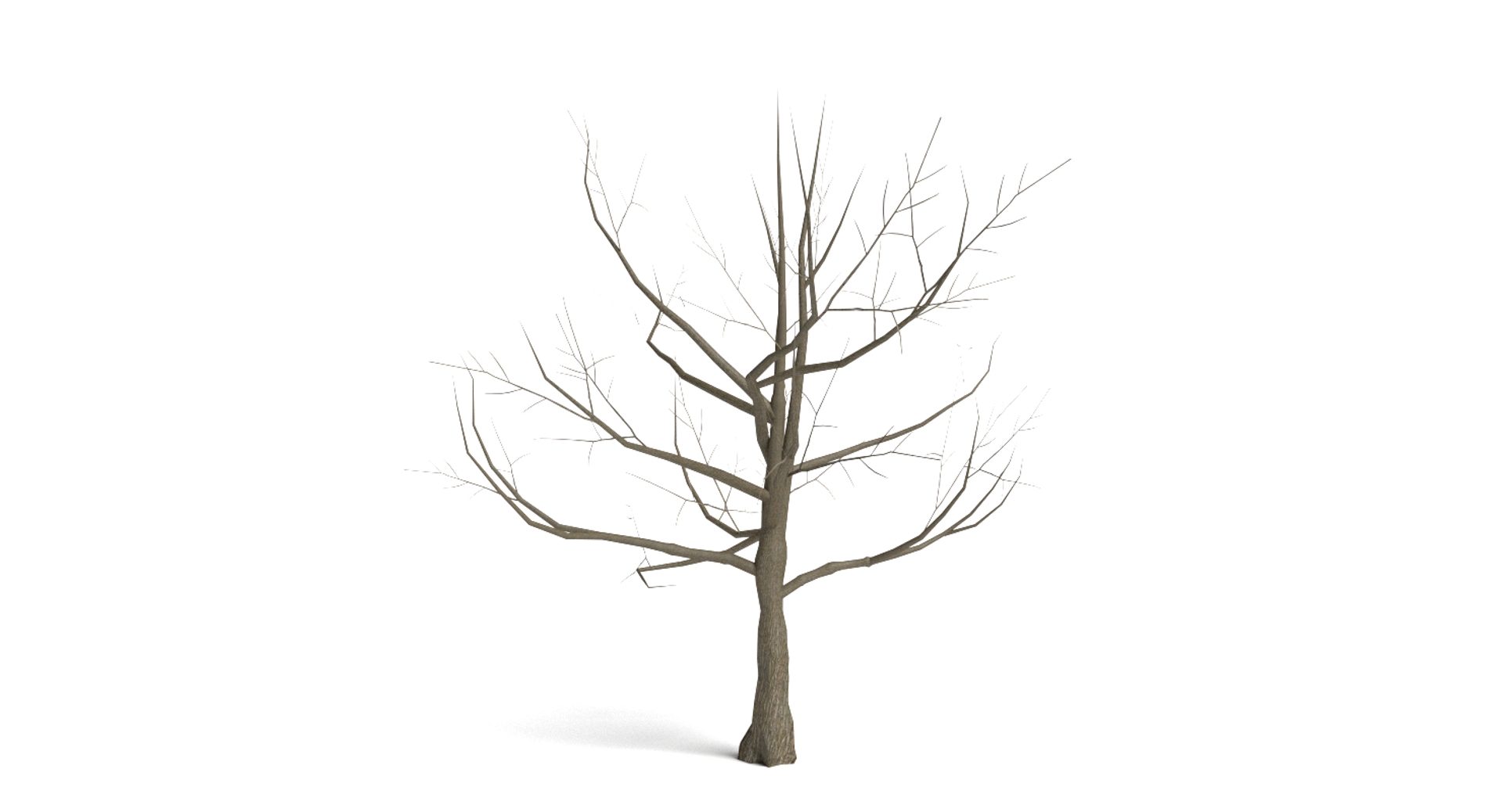 Dead Tree 3d Obj