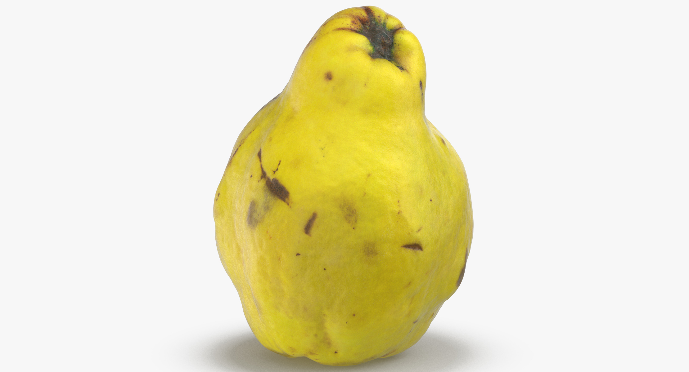 マルメロ013Dモデル - TurboSquid 1359152