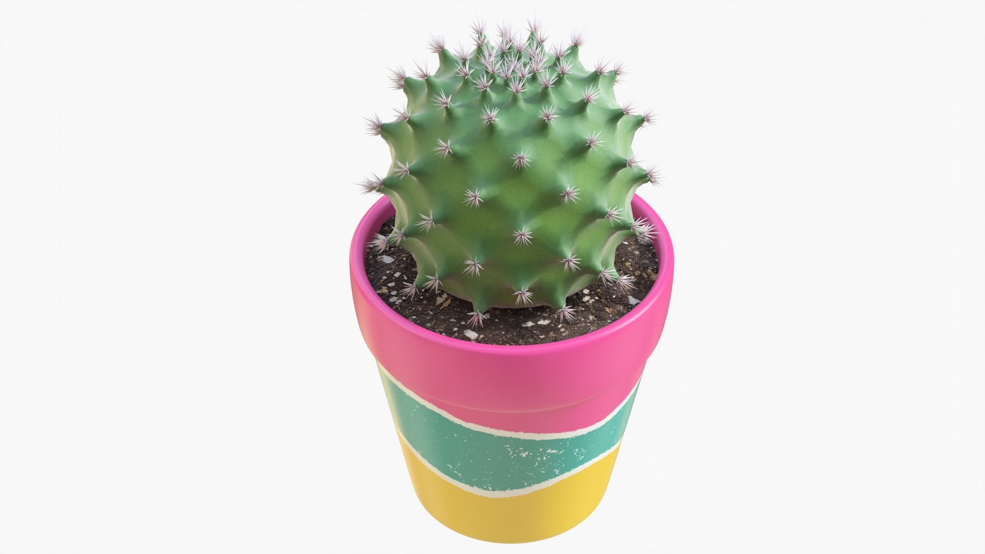 3D Cactus 02 D - TurboSquid 1987413