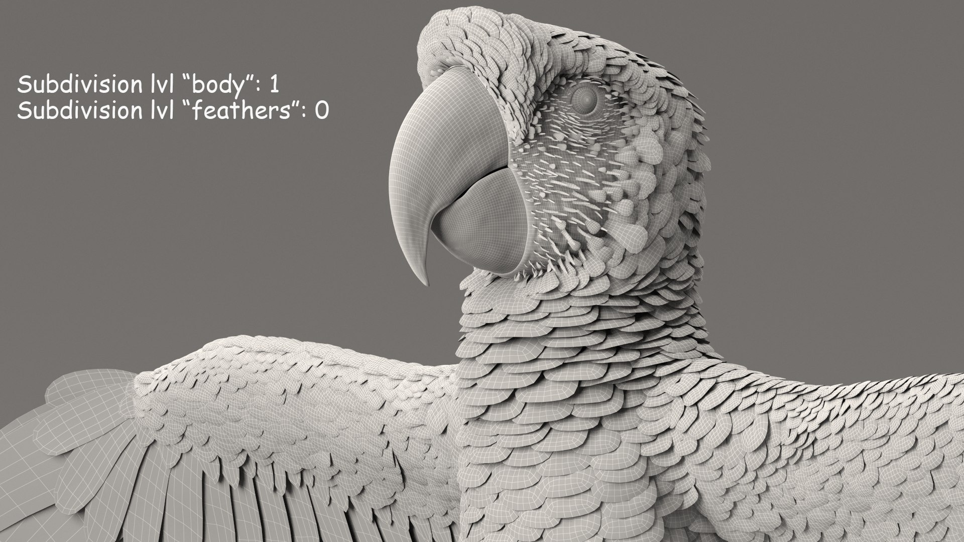 3D Ara Macao Model - TurboSquid 2014589