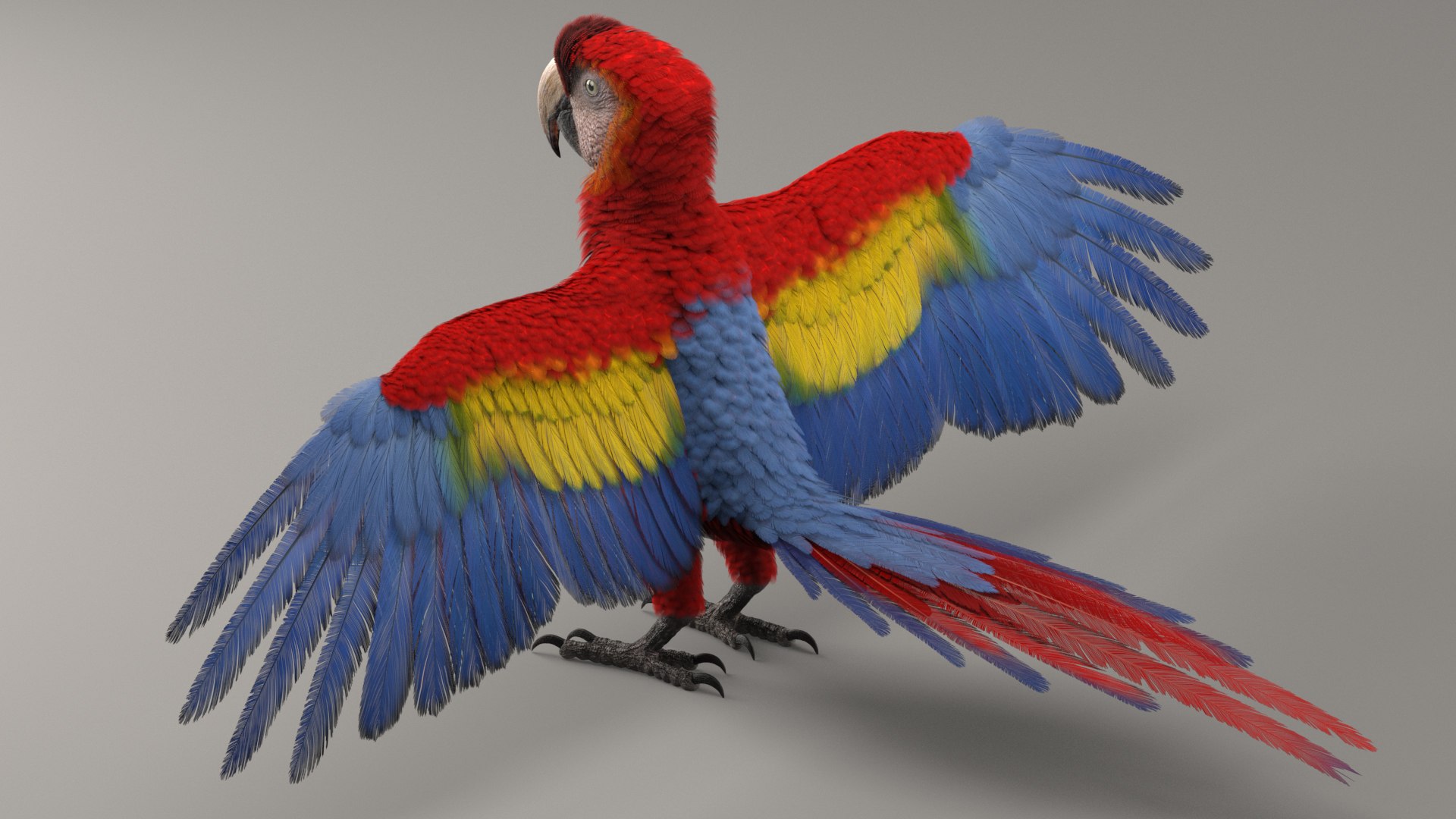 3D Ara Macao Model - TurboSquid 2014589