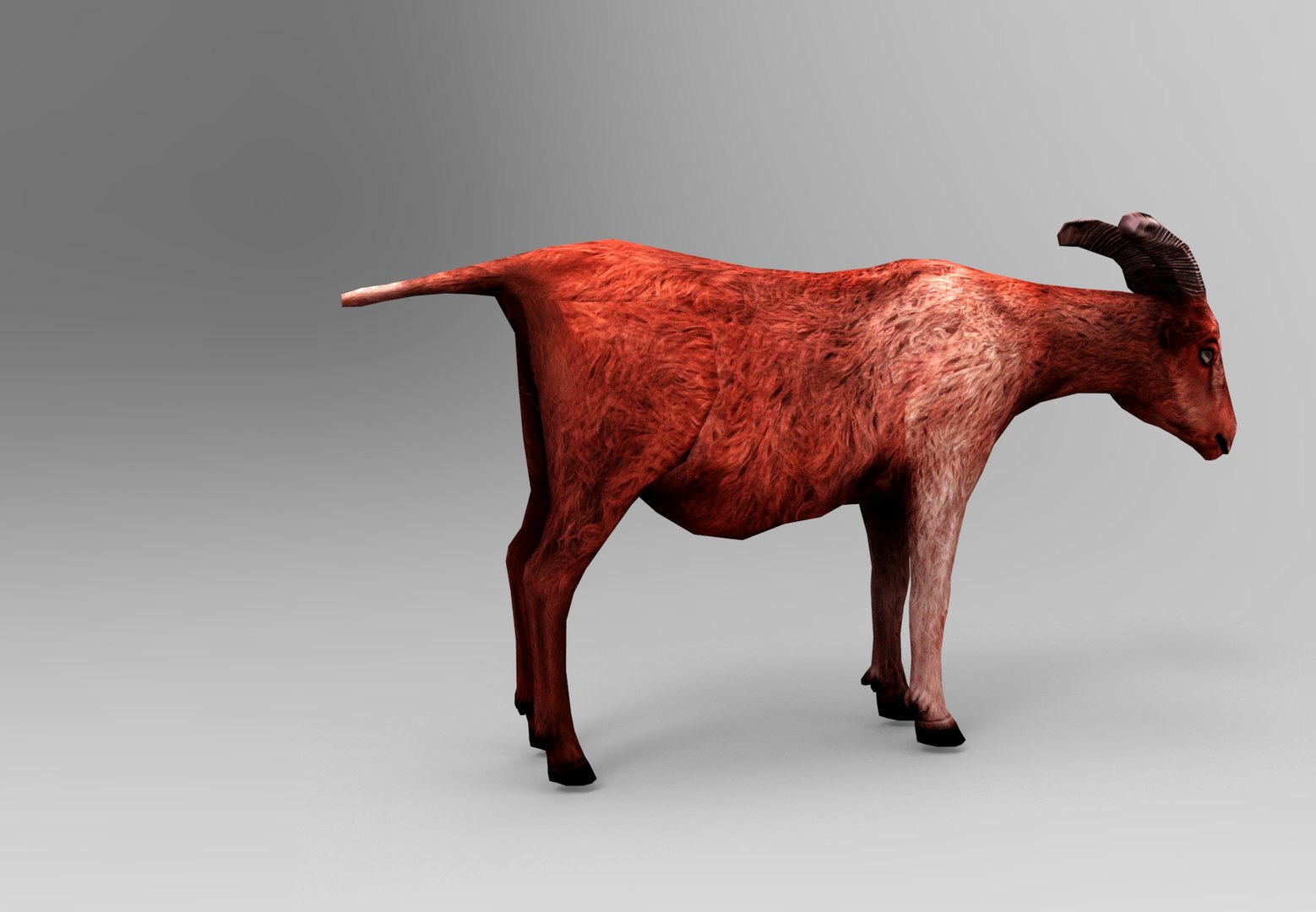 3d Goat Ready