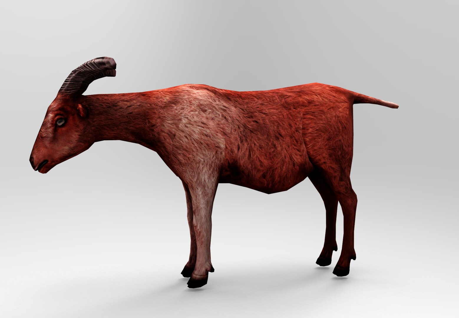 3d Goat Ready