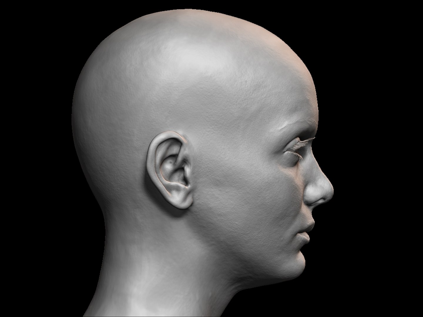 3D Face Uv Model | 1142542 | TurboSquid