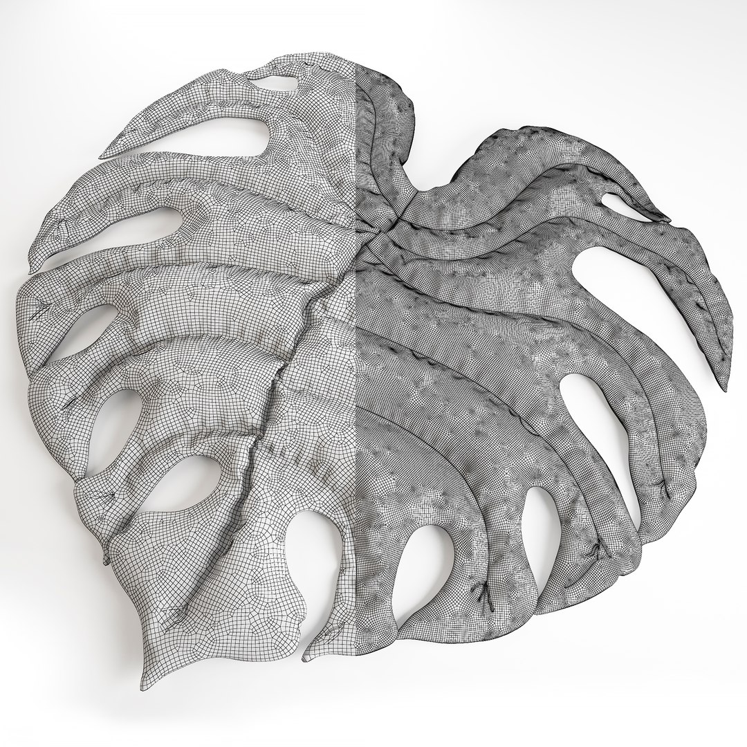 3D Carpet home doc leaf - TurboSquid 2144896