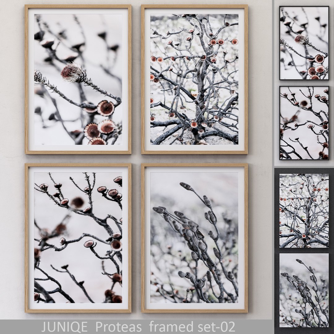 3D juniqe proteas framed set-02 model - TurboSquid 1167906