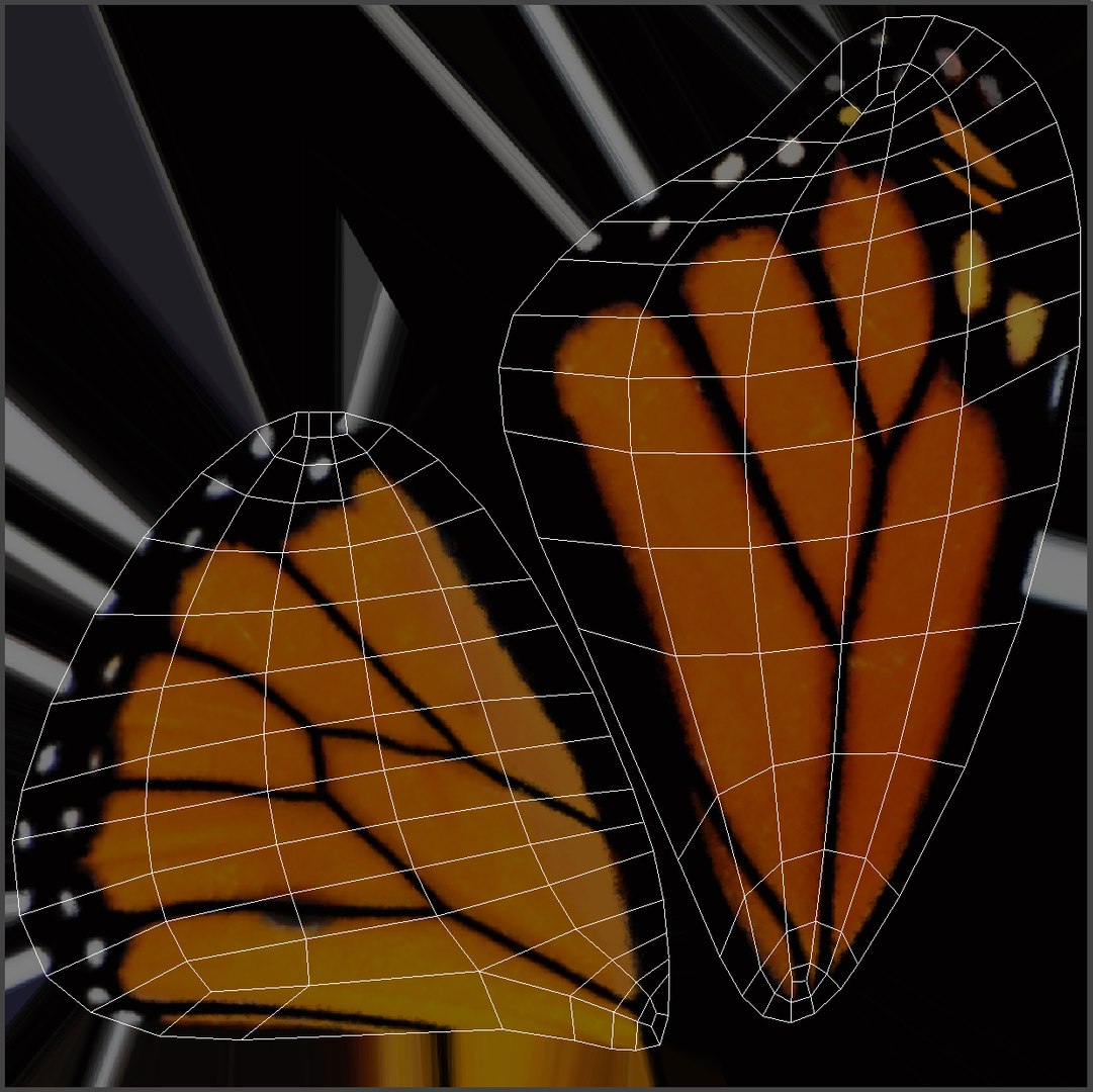 Butterfly Static Model - TurboSquid 2069861