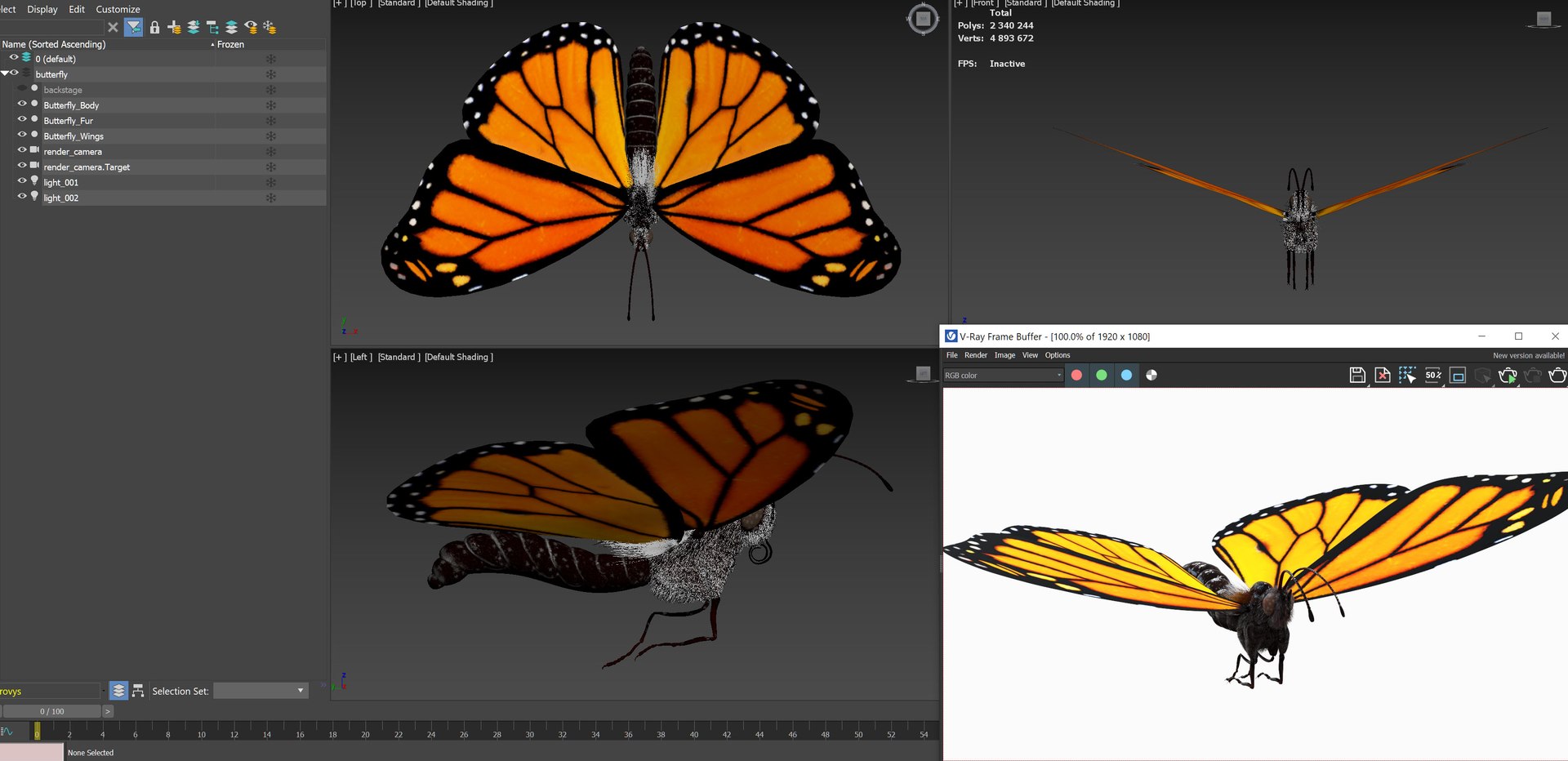 Butterfly Static Model - TurboSquid 2069861