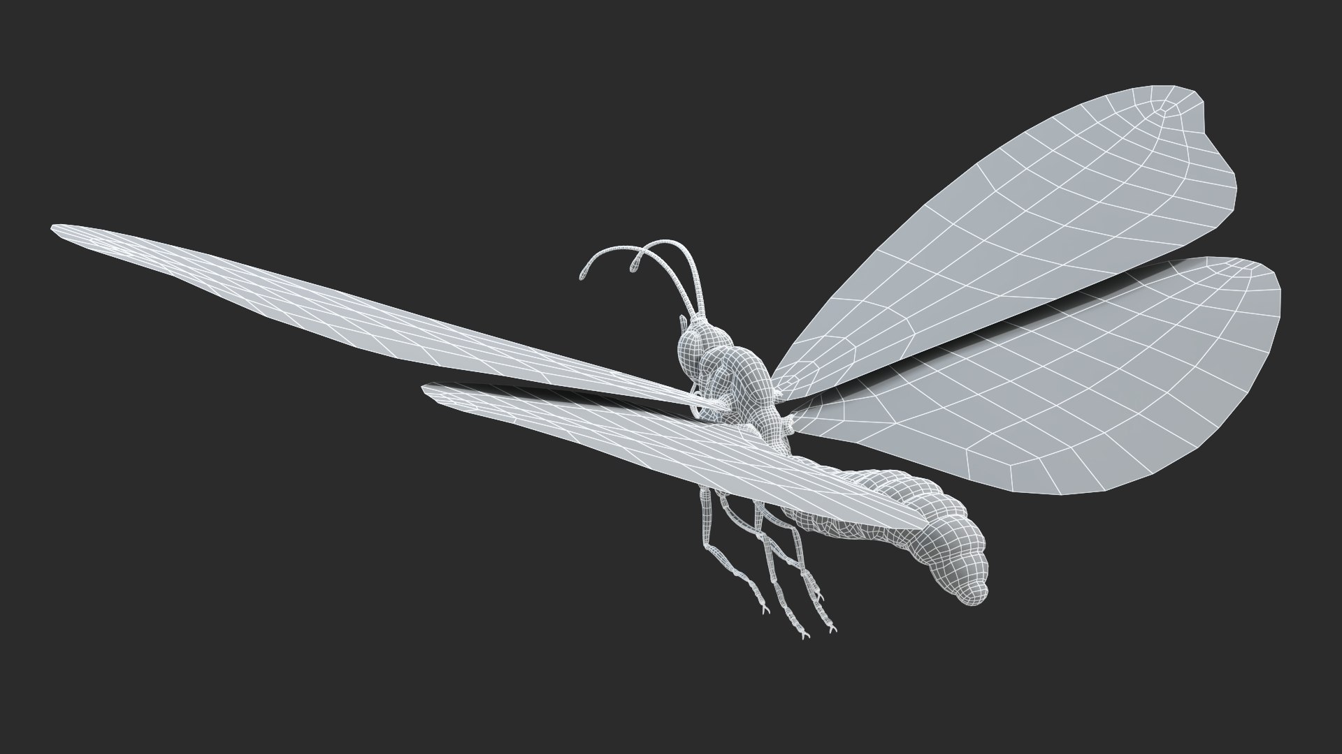 Butterfly Static Model - TurboSquid 2069861