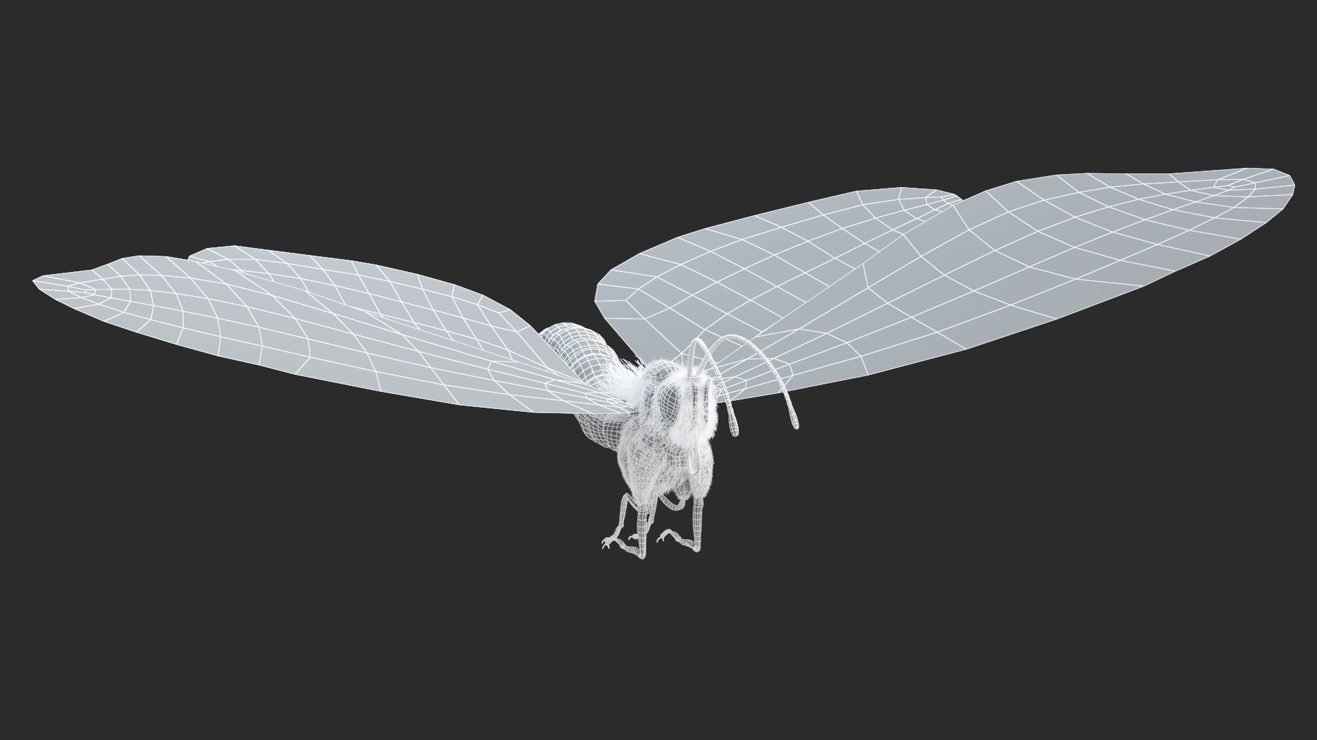 Butterfly Static Model - TurboSquid 2069861