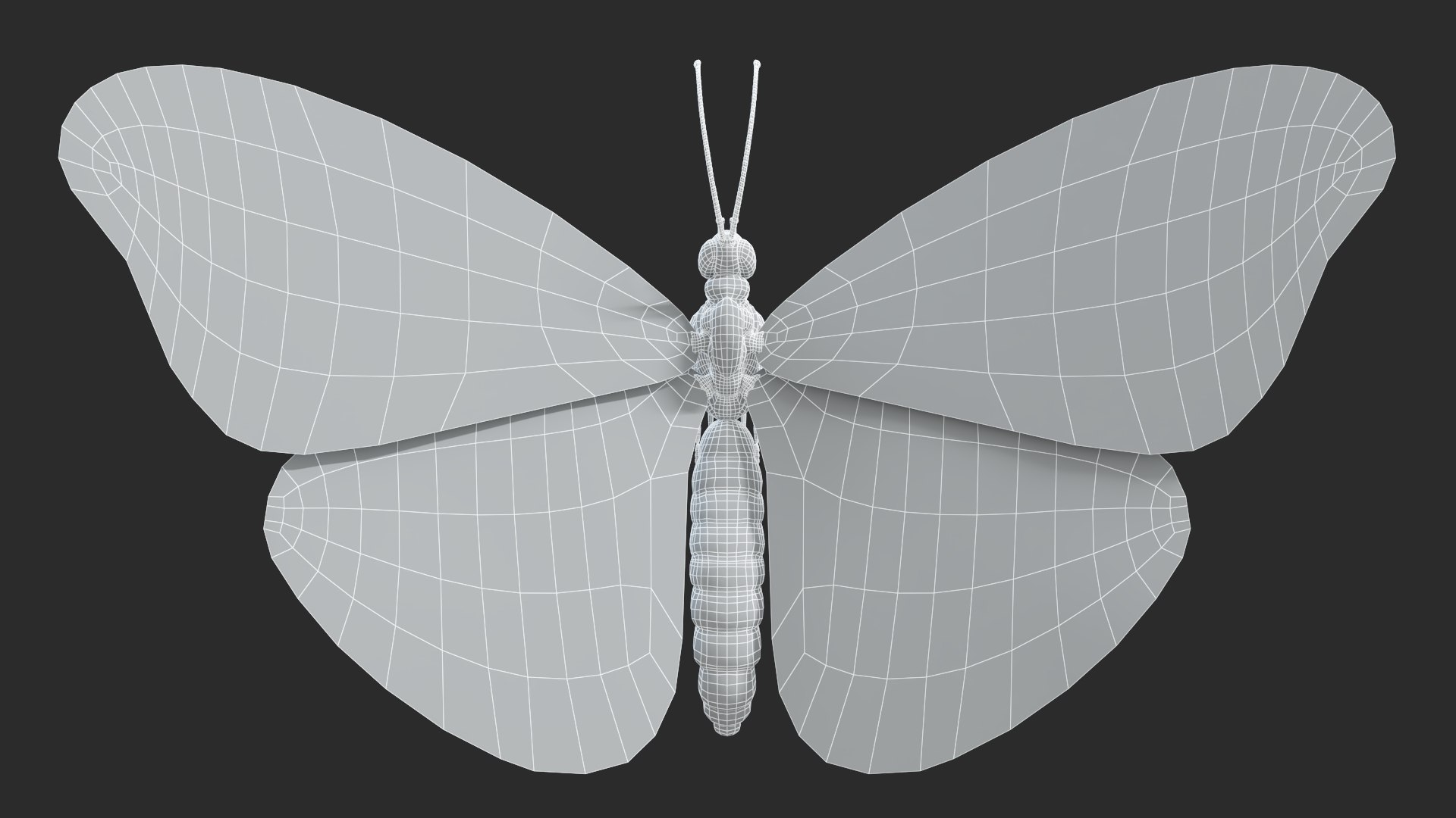 Butterfly Static Model - TurboSquid 2069861