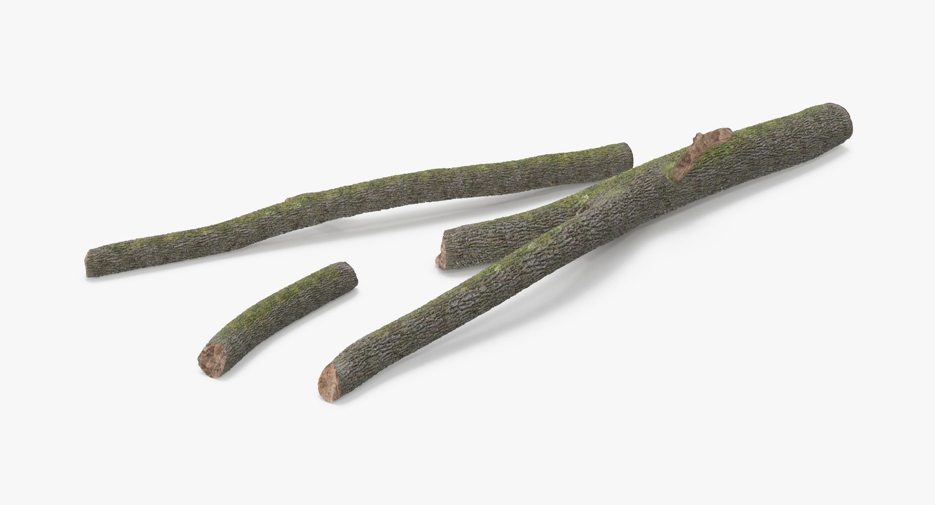 Fallen Logs Oak 03 3d Model