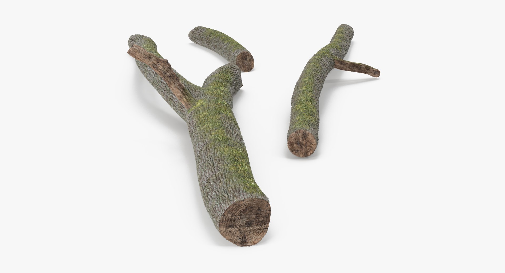 Fallen Logs Oak 03 3d Model