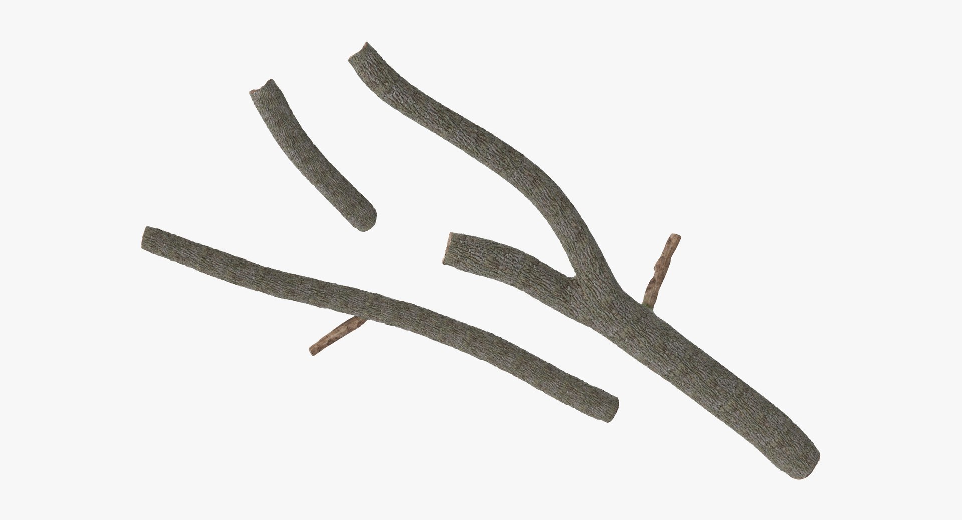 Fallen Logs Oak 03 3d Model