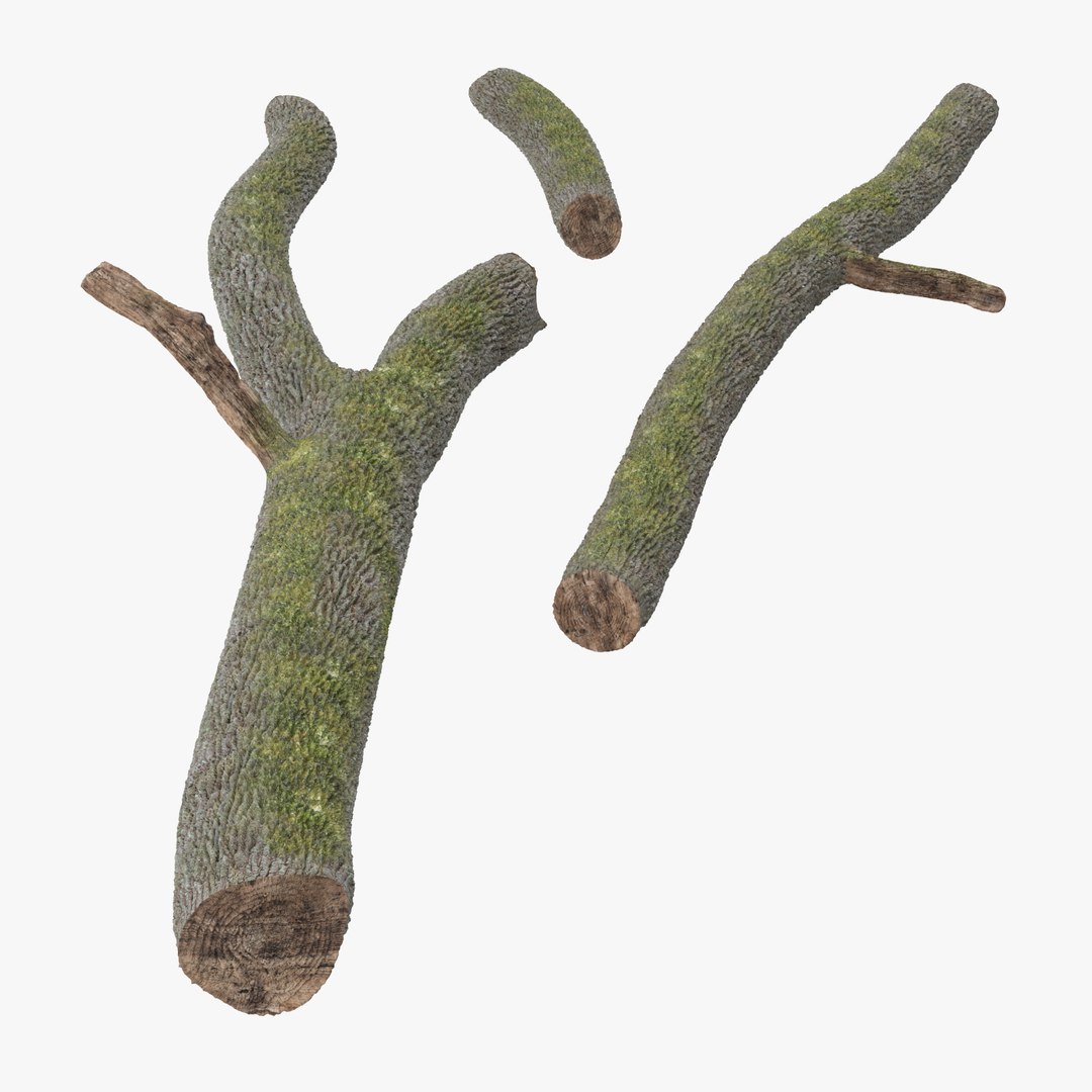 Fallen Logs Oak 03 3d Model