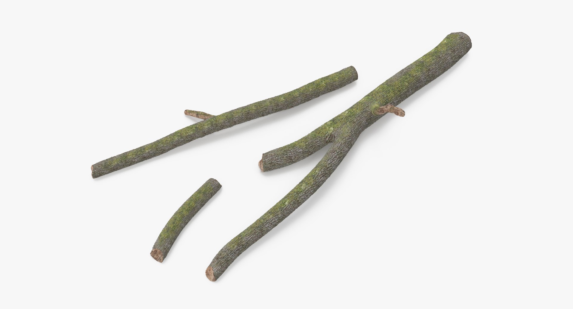 Fallen Logs Oak 03 3d Model
