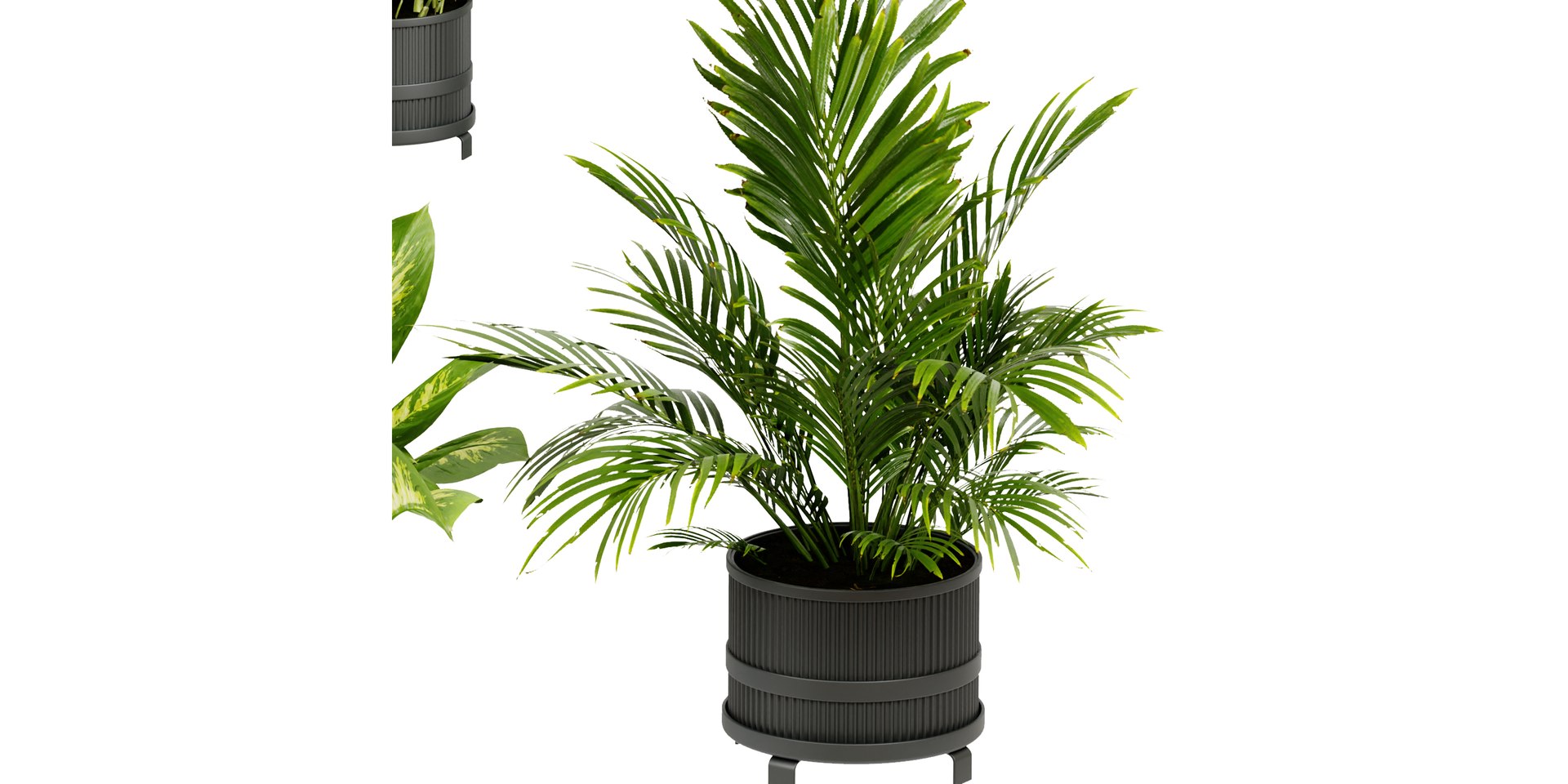 Collection plant vol 384 - blender model 3D model - TurboSquid 2095076