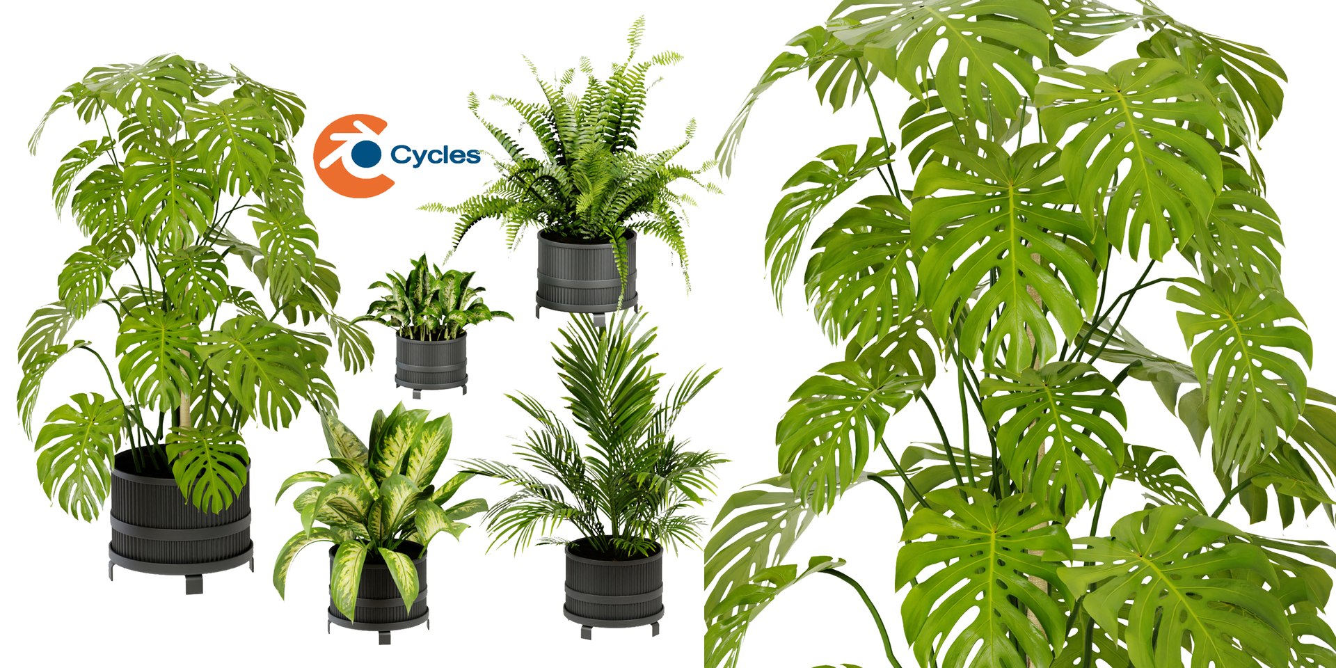 Collection plant vol 384 - blender model 3D model - TurboSquid 2095076