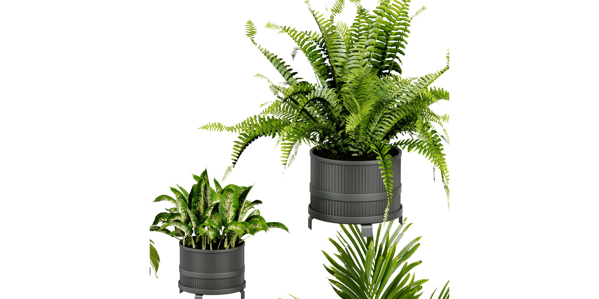 Collection plant vol 384 - blender model 3D model - TurboSquid 2095076