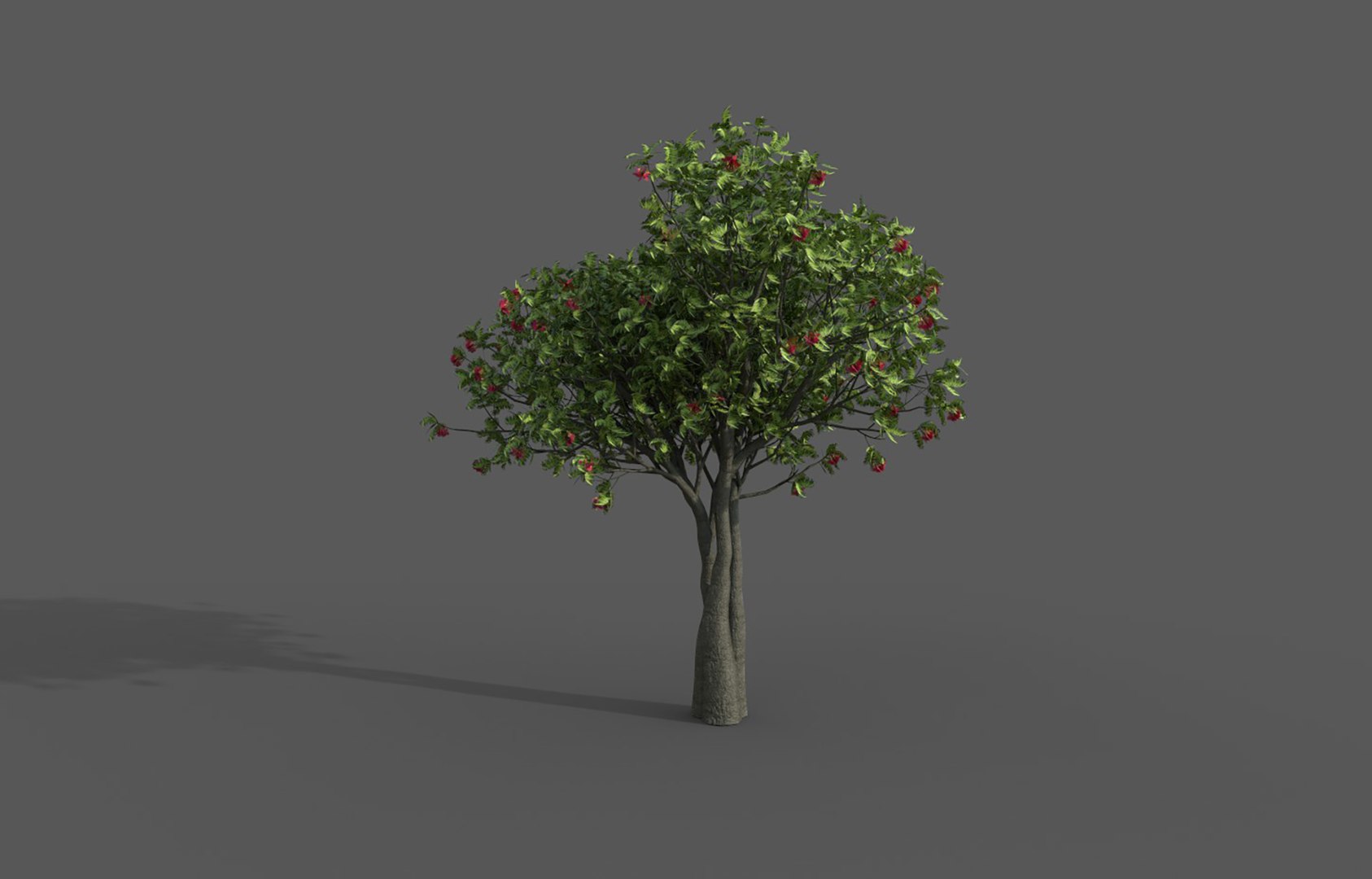 3D Red Gum Tree - TurboSquid 1743773
